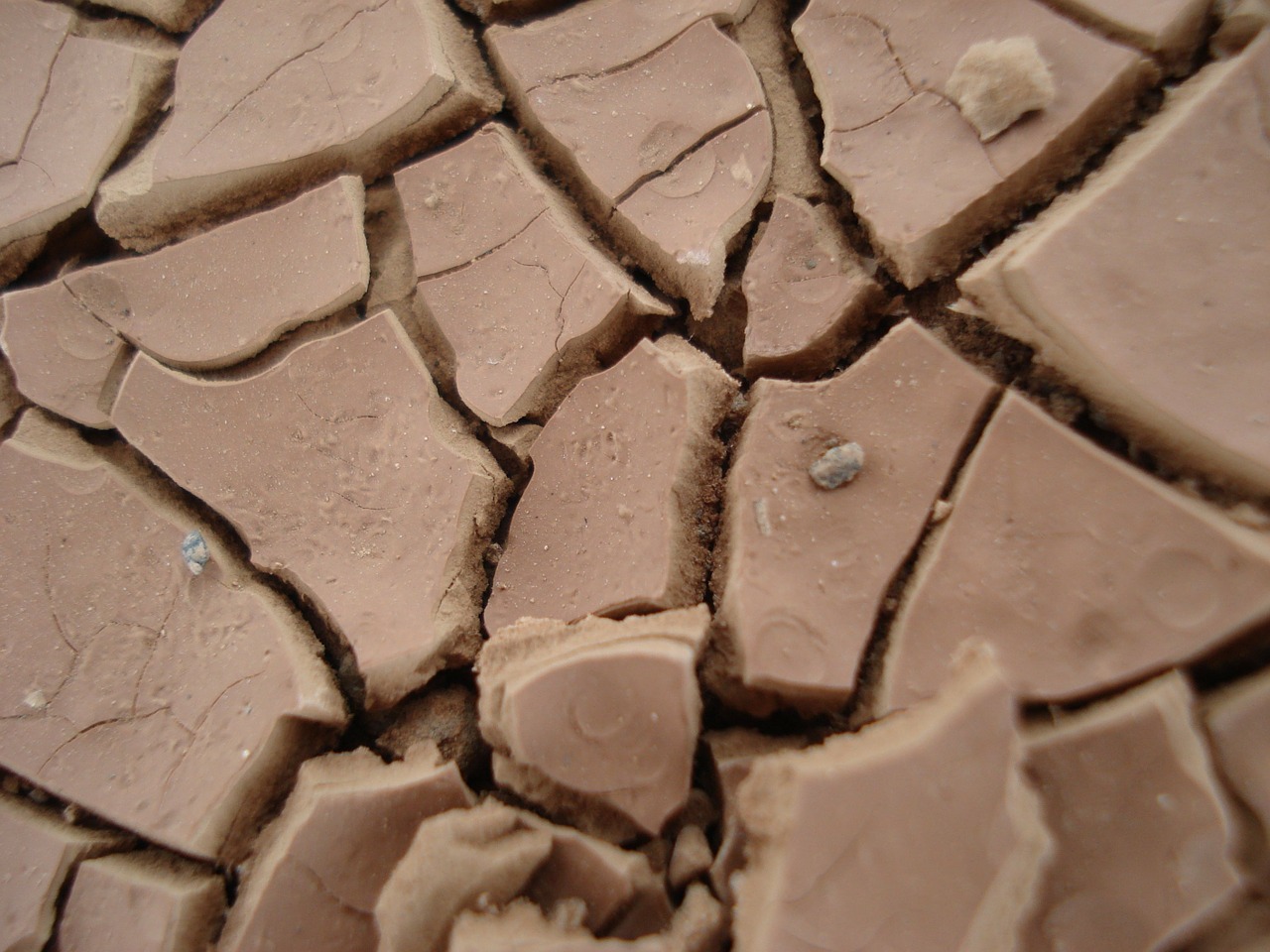 The Best Way To Improve Soil - Growing Guides