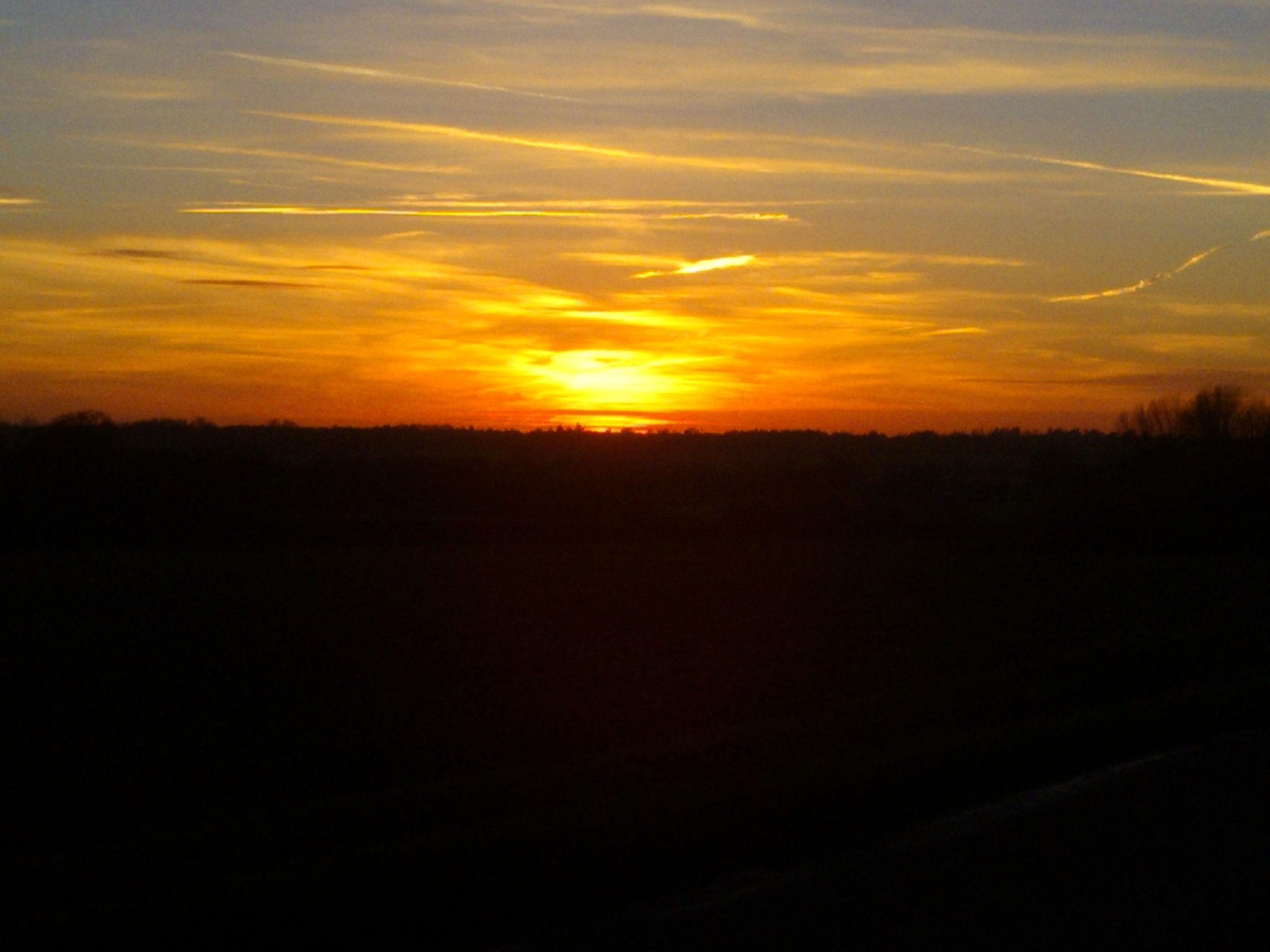 Late December Update - Growing Guides