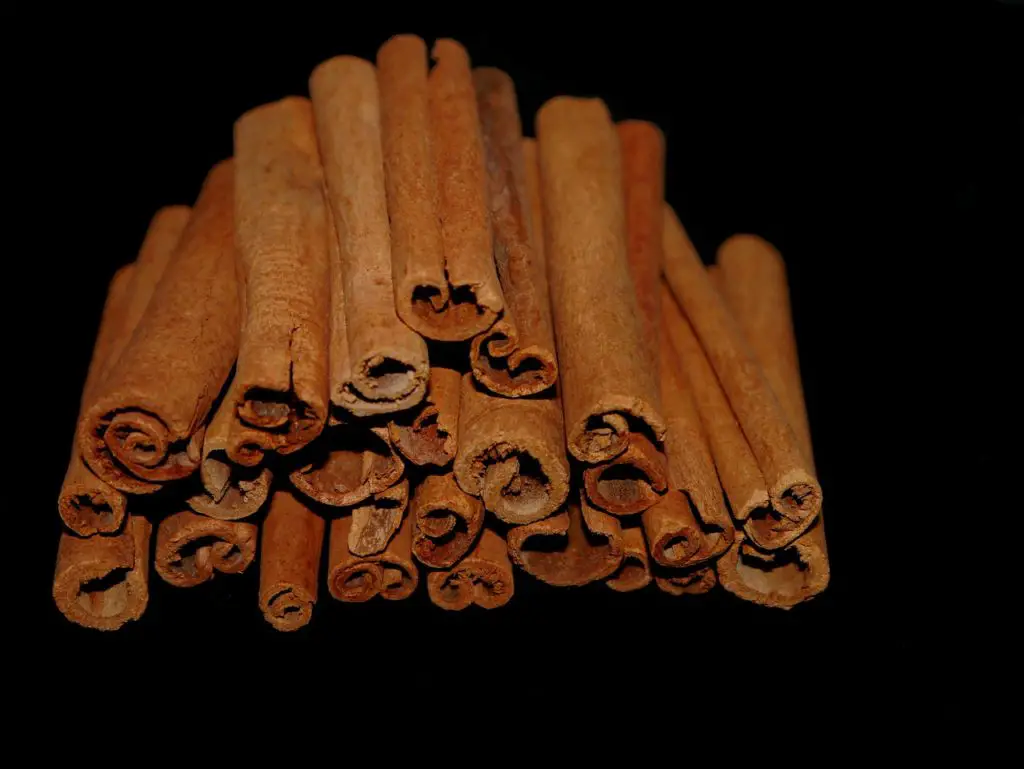 Cinnamon And Its Benefits In The Garden - Growing Guides