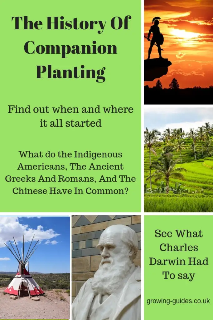 The History Of Companion Planting - Growing Guides
