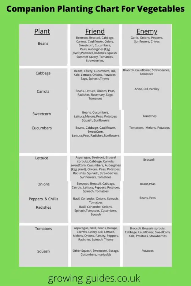 Companion Planting Chart For Vegetables - Growing Guides