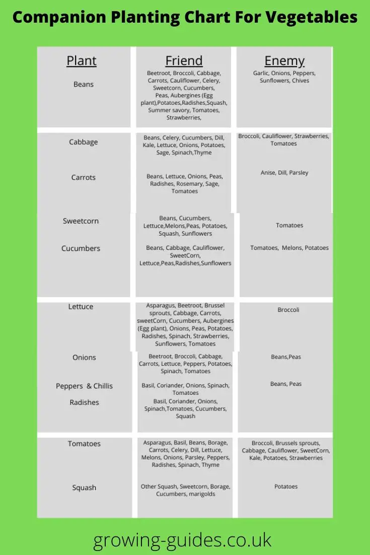 Companion Planting Chart For Vegetables - Growing Guides